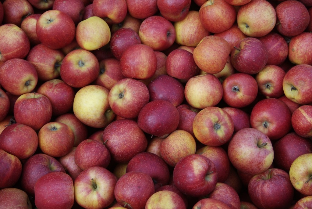 apfel_1 – Rétropomme